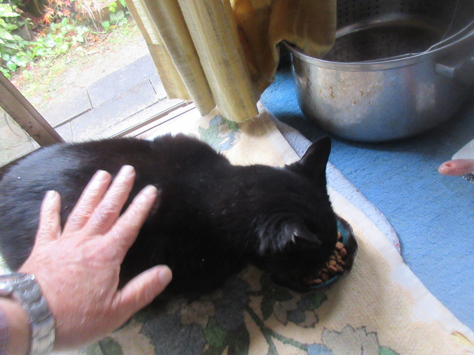 最低気温更新/'23インフルワクチン: 小人閑居